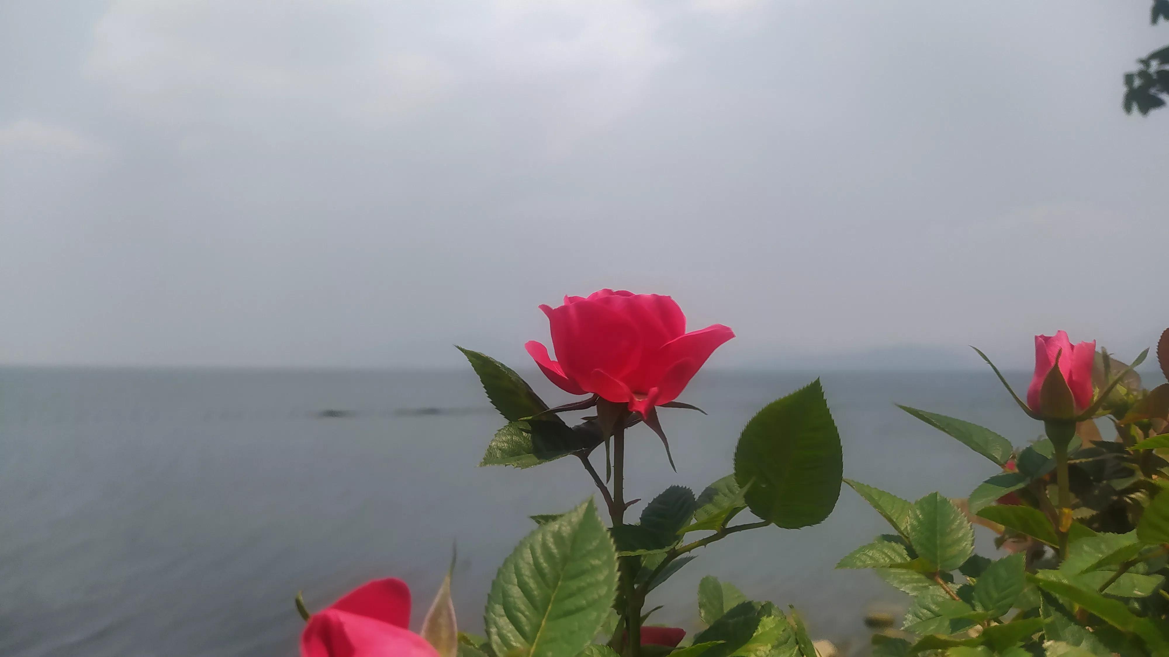 Twenty-four solar terms Lixia - iNEWS