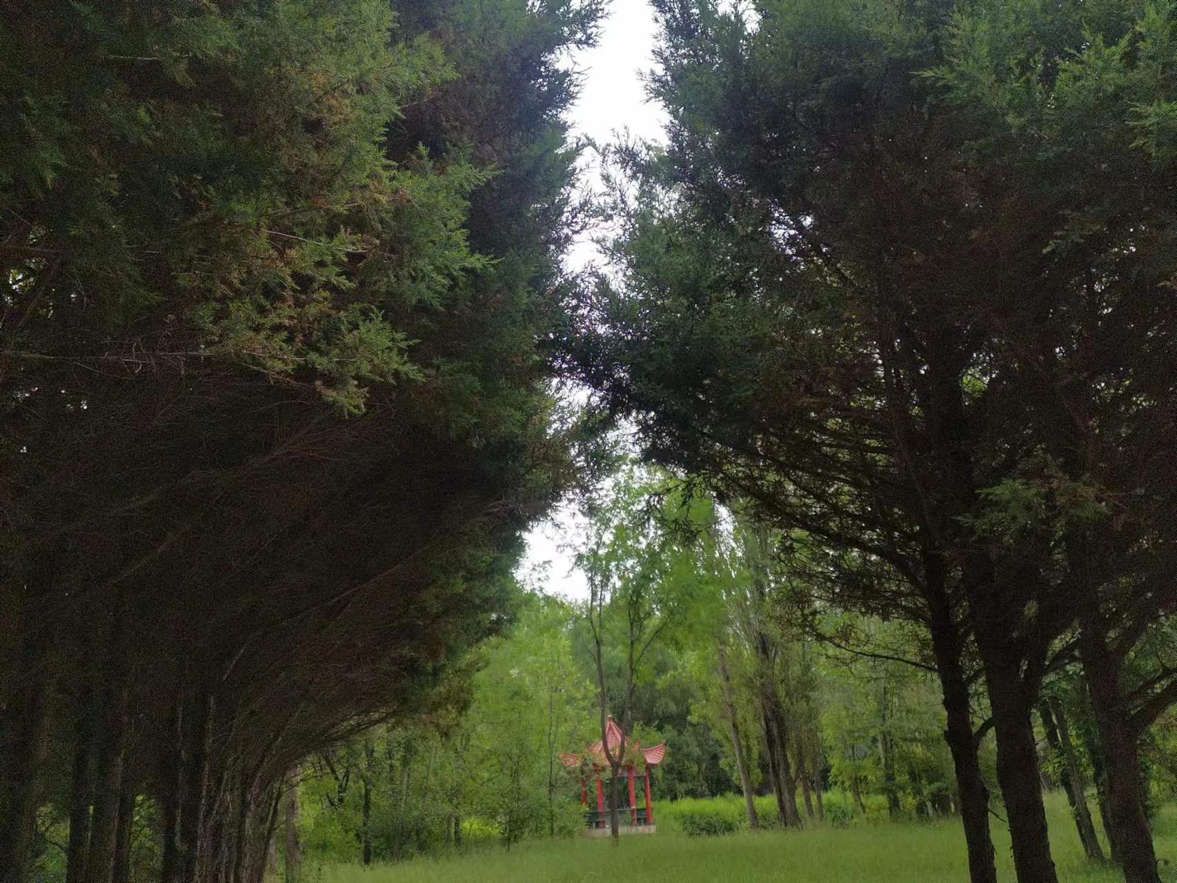 Parents should take children's bad imitation seriously - iNEWS