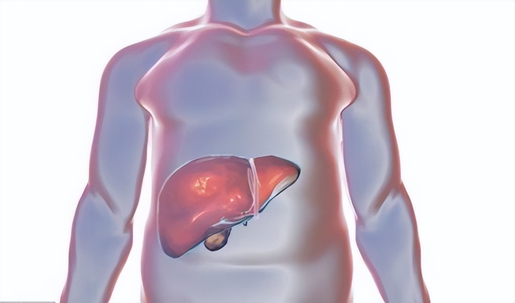 If the transaminase value on the liver function test sheet is high, it ...