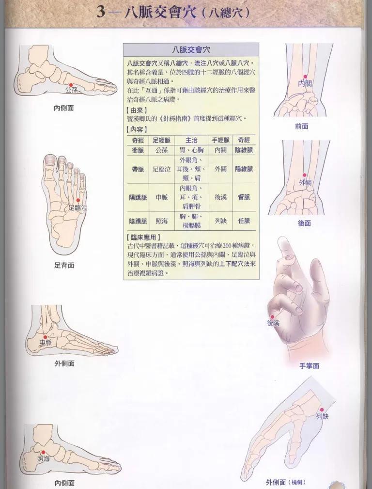 Learning Chinese Medicine from scratch with Dr. Yu - Acupuncture and ...