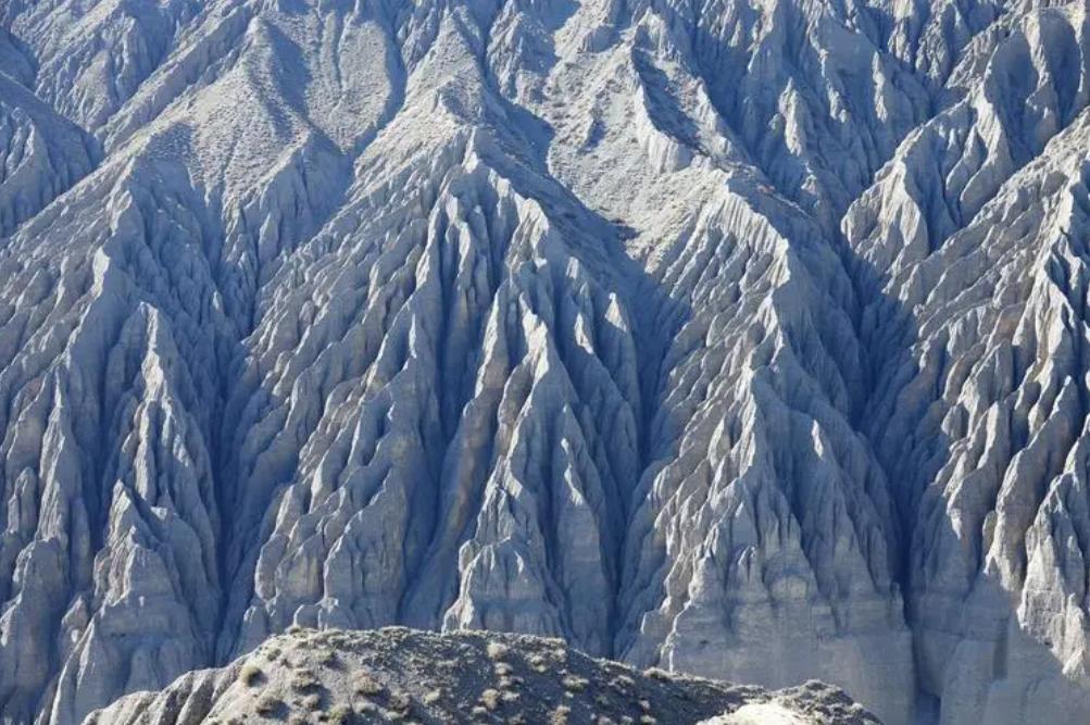 Colonization of animals, analysis of specimens in geographic databases ...