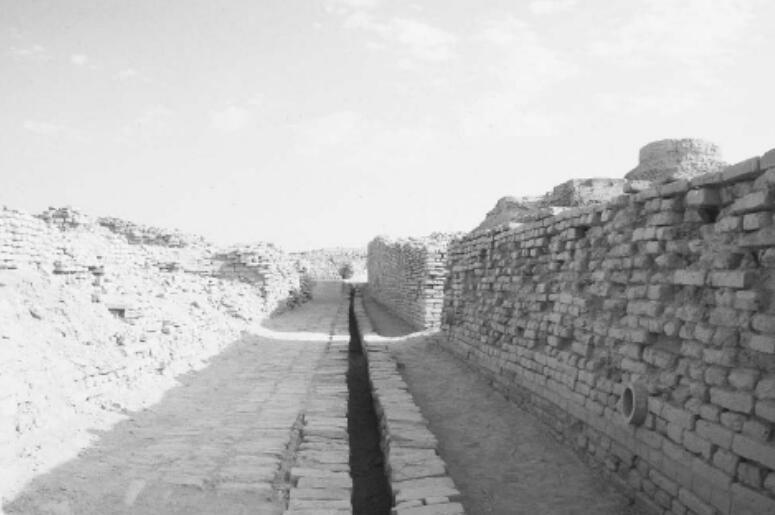 The Mystery of Mohenjo-Daro's Destruction: Ancient Nuclear War, Plague ...