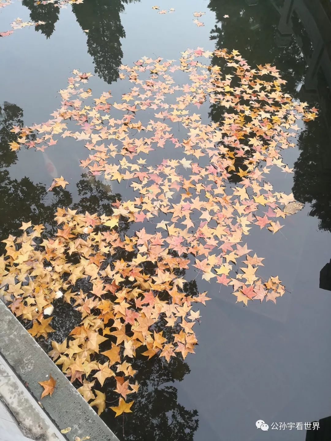 Fragrant Hills in Beijing - iNEWS