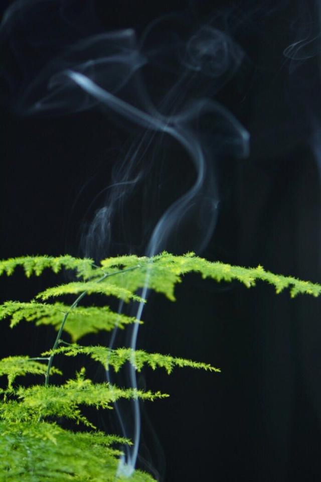 Yang Wanli: 4 lines of poems, writing the "cool" summer, and also ...