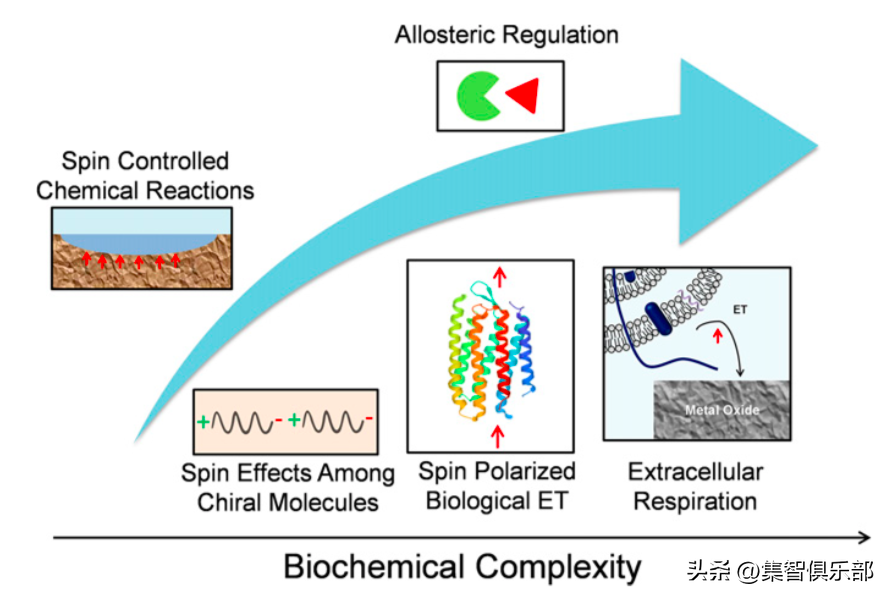 The origin of chiral symmetry breaking: Why did life prefer one ...