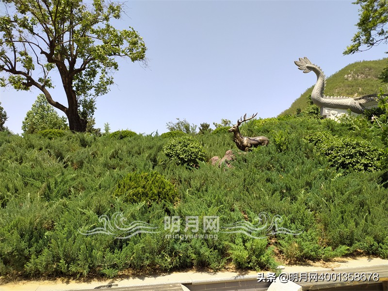 Nice cemetery and cemetery in Changping District, Beijing - Mingyue.com ...