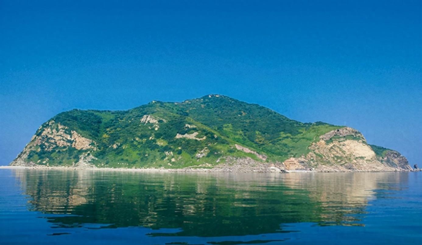 Dalian Snake Island is "involved" crazily. There are more than 20,000 ...