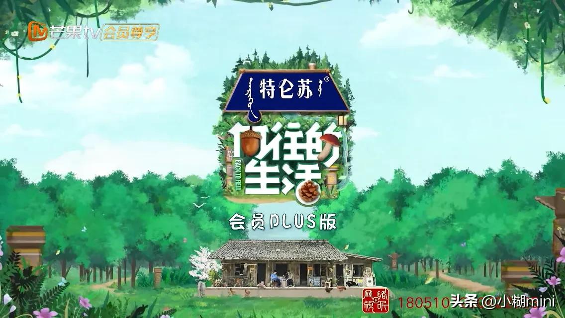 Does Song Dandan really have the nose skills of military dogs? Sha Yi ...