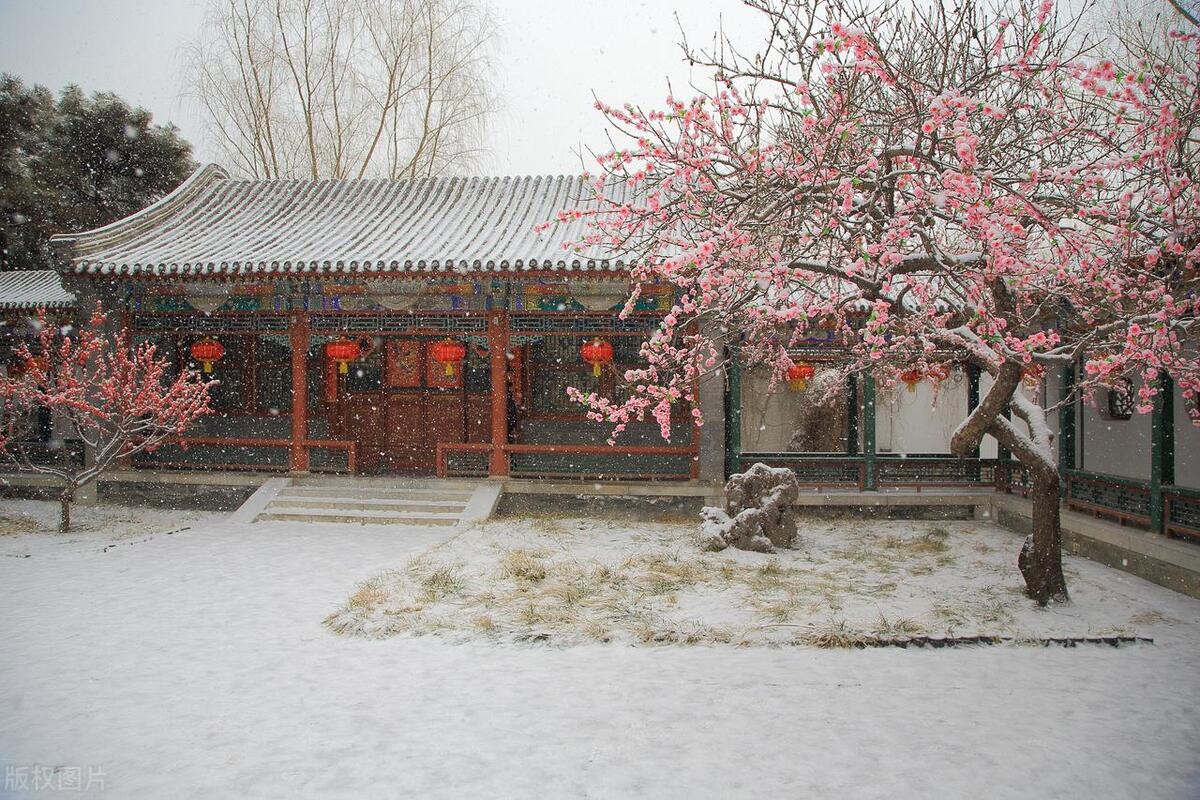 Tragic Characters in "A Dream of Red Mansions": Qin Keqing and Jia Zhen's Improper Relationship ...