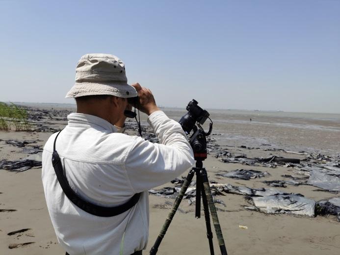"Giant panda among birds" discovered by first observation on Mazhou ...