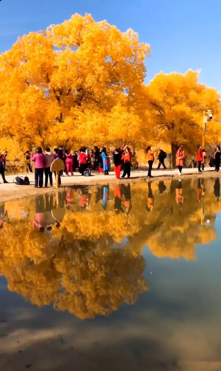 Linjiangxian. Shu Huai (two poems outside) Author: Suishan - iNEWS