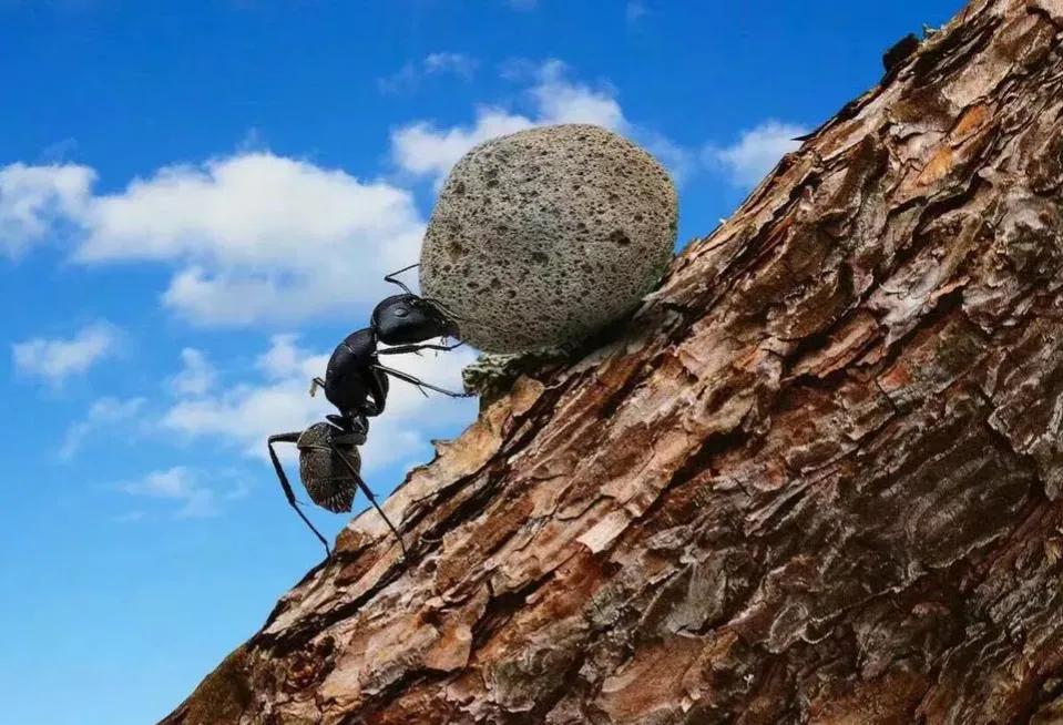 Ant Group, when you are staring at the abyss, the abyss is also staring ...