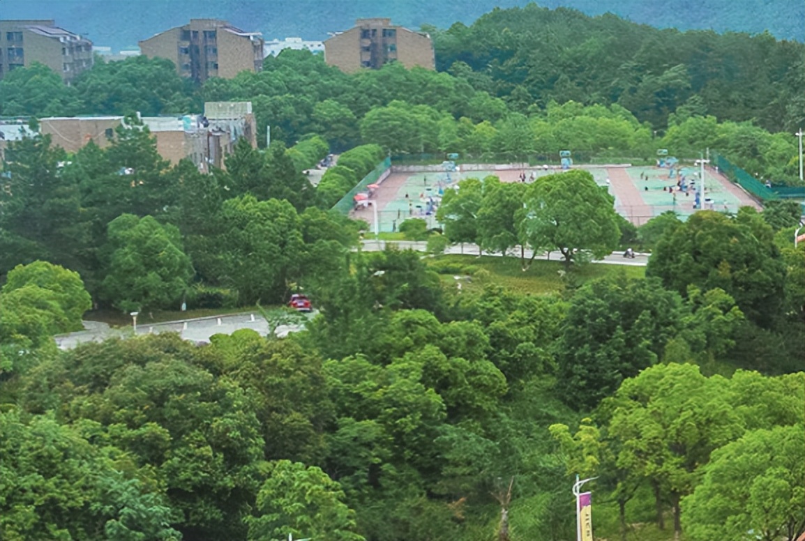 A university "delayed" by the name of the school, Jingdezhen Ceramic ...