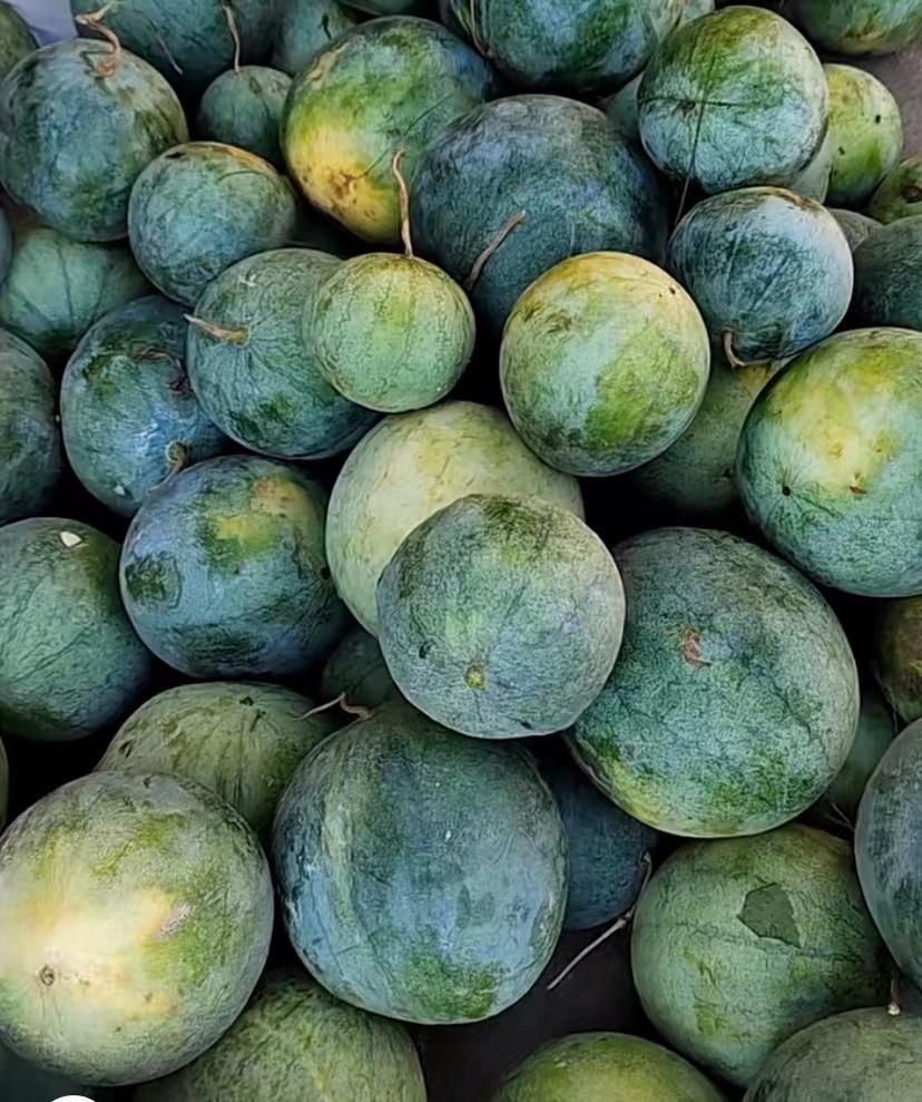 Hezhou Specialty - Xindu Guarin Sour - iNEWS