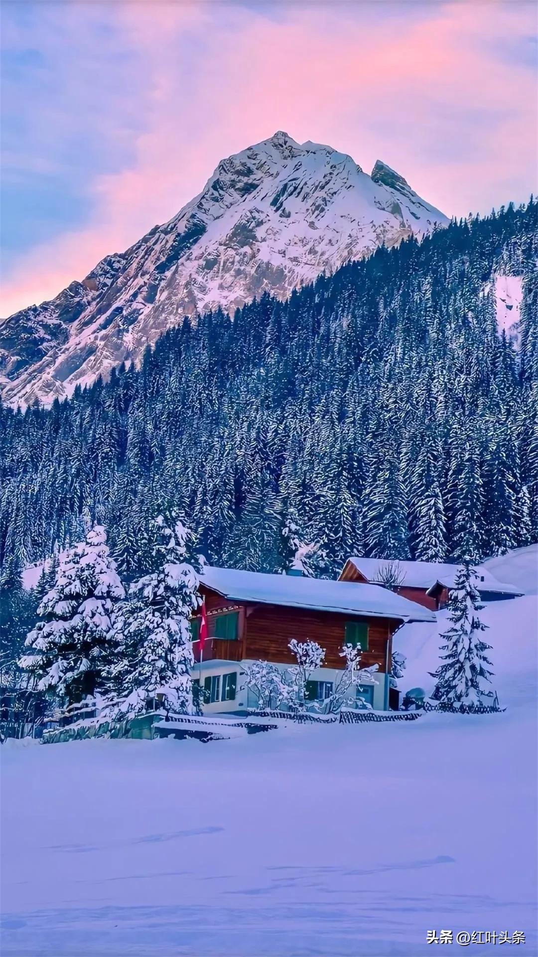 Reading Mr. Jia Xixin's "Yong Xue". Zheng Hao - iNEWS