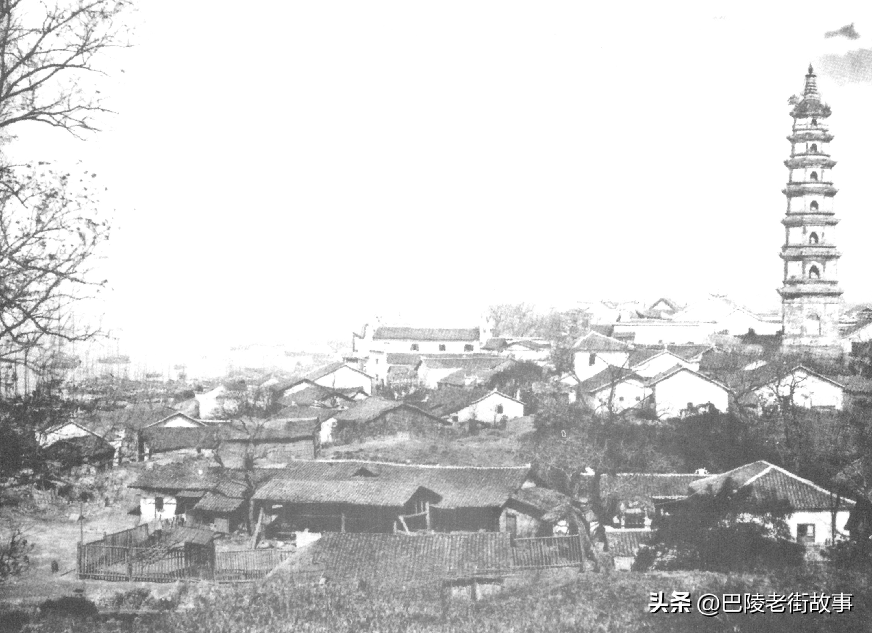 Tang Hanzhi: A female professor who paves the way for Sino-US ...