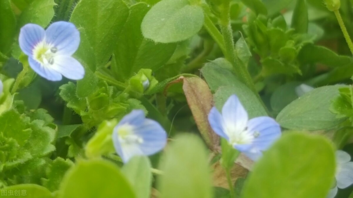 Appreciation of famous sentences in "The World" 10: This person, what ...