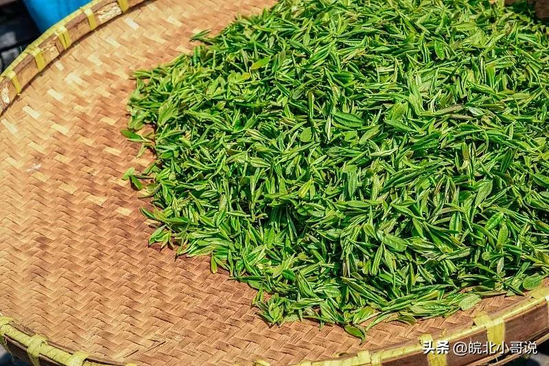 Do you know the top ten famous teas in China? - iMedia