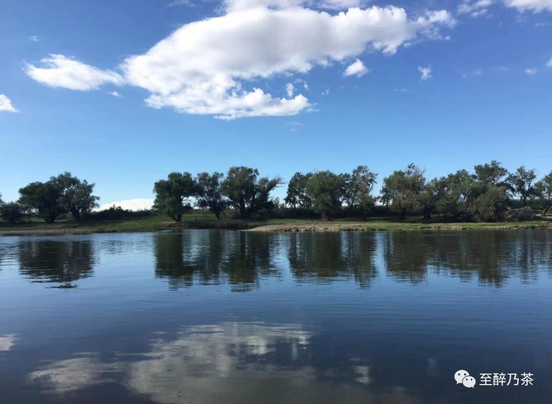 Alfalfa grass color, lark yellow, spider silk powder... Are the color ...