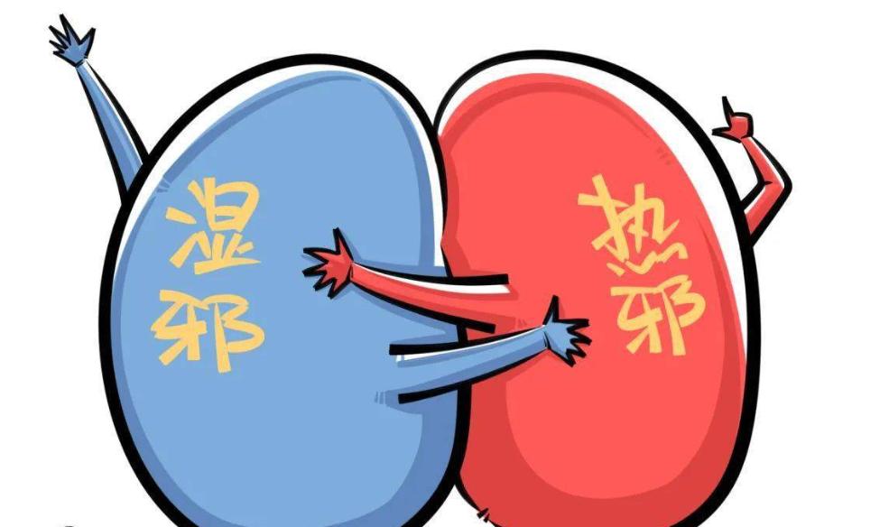 What is the difference between damp heat in the spleen and stomach and ...