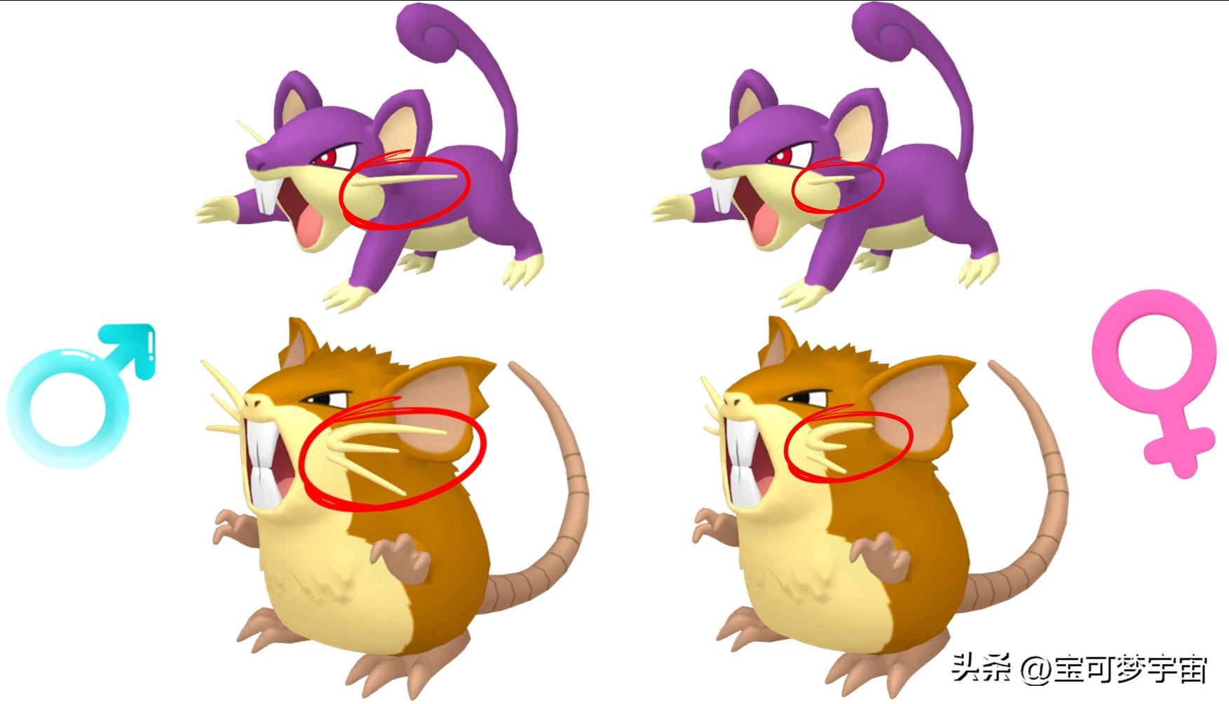 Cold knowledge of Lada and Sparrow family!After 23 years, I finally ...