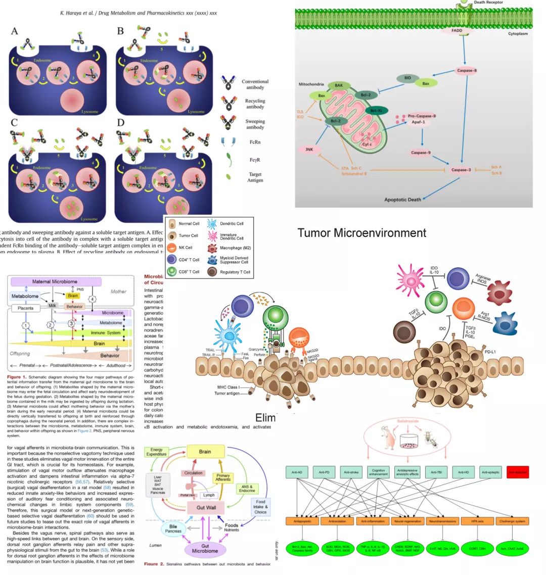 Here is a complete guide to Photoshop scientific research bitmaps (all ...