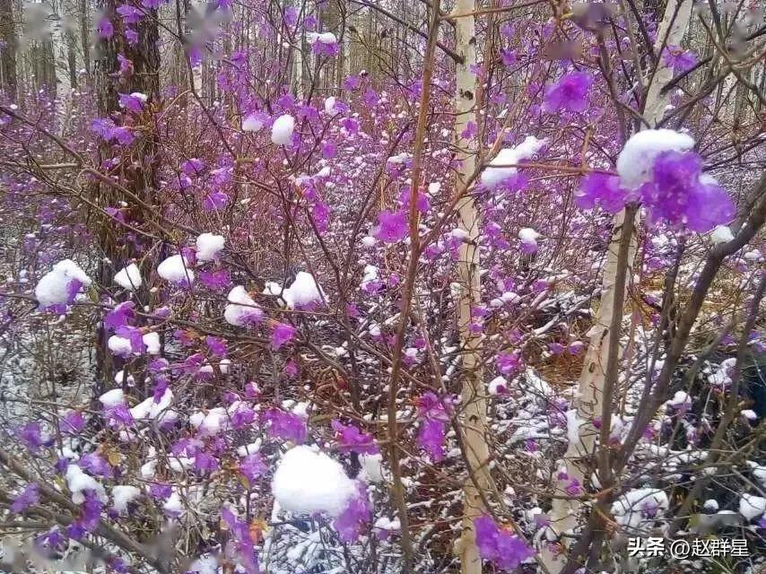 winter is over - iMedia