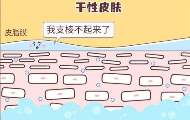 Oily skin? Here comes the detailed explanation of the factors and ...