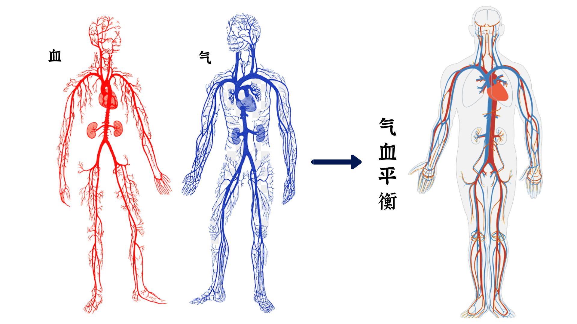 Hetu Luoshu is the underlying structure of TCM theory - the "lifting and descending of Qi"! - iNEWS