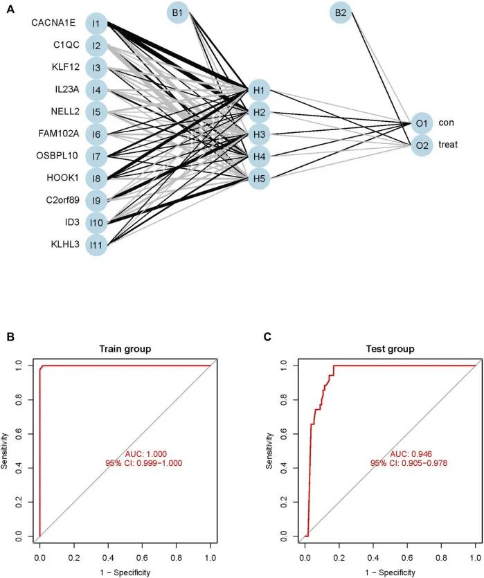 Construction of pulmonary tuberculosis diagnosis model based on random ...