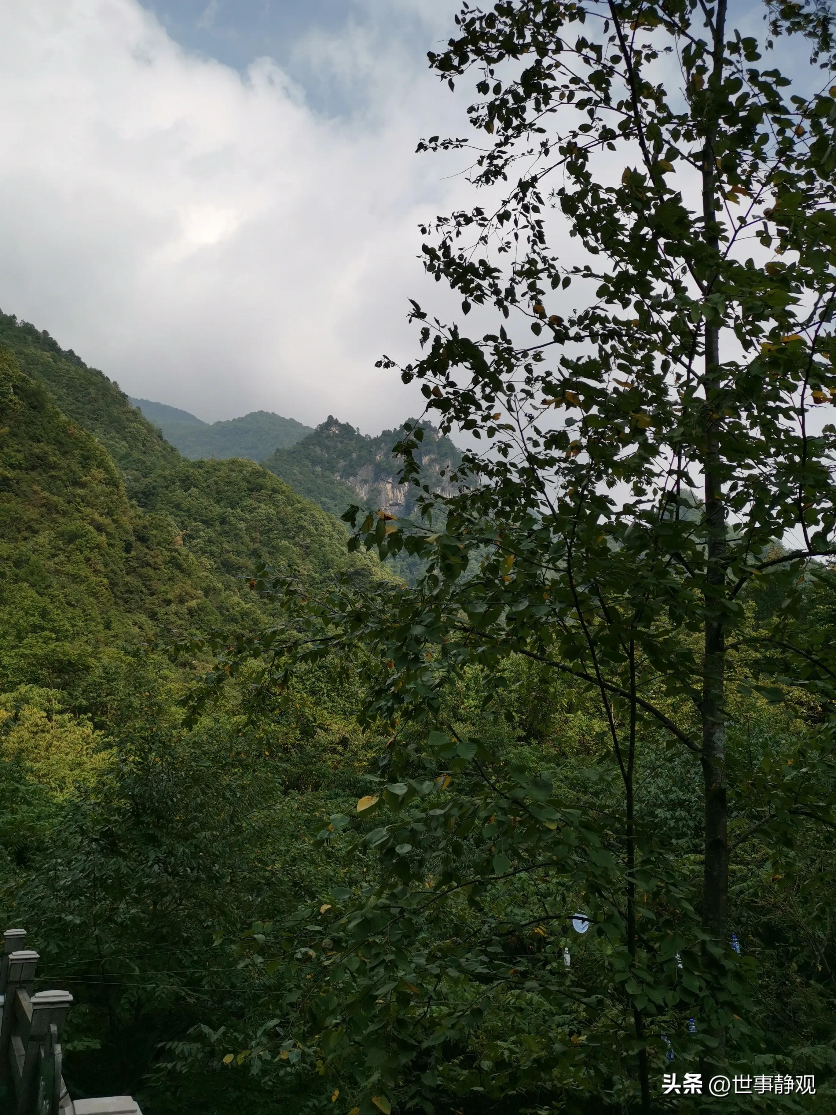 [Allusion learning] If the mind is not bitter, and the adversity has not been tasted, then the ...