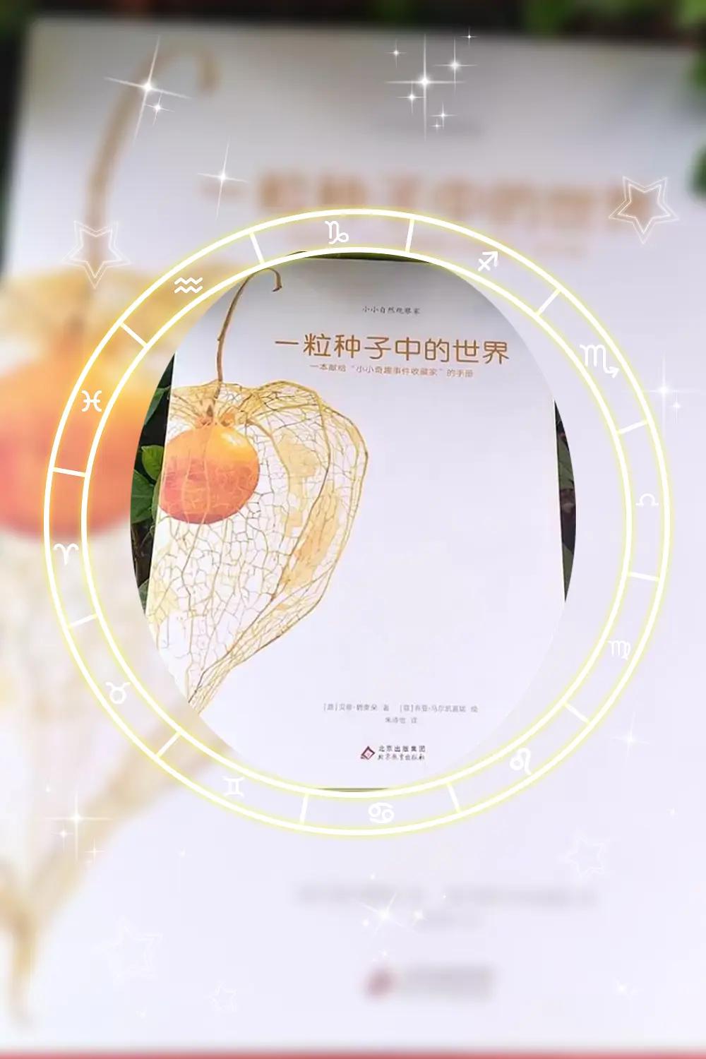 Miao: A Wonderful Seed World That Subverts Children's Cognition and ...