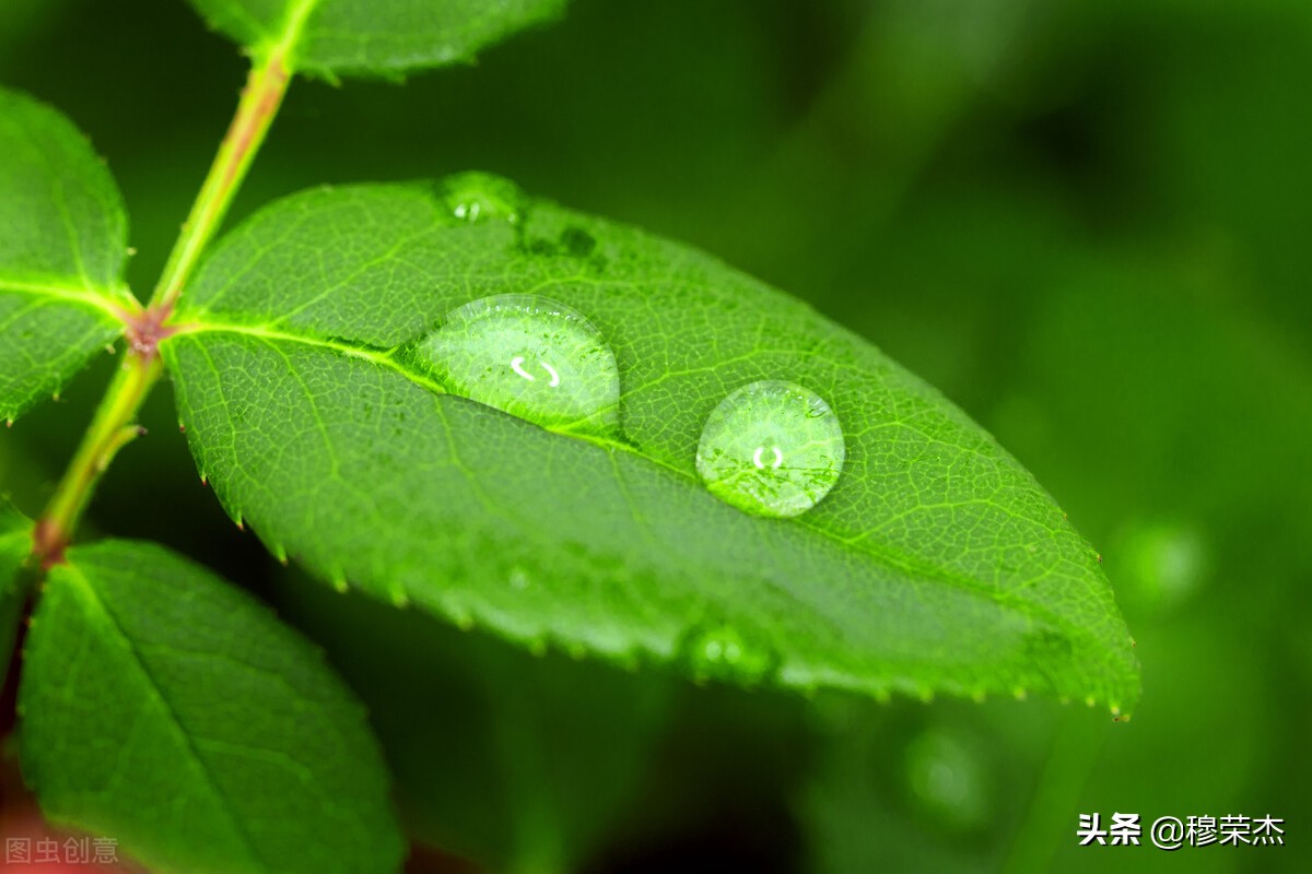 Seven unpopular Song Poems that I like, will you like them too?They ...