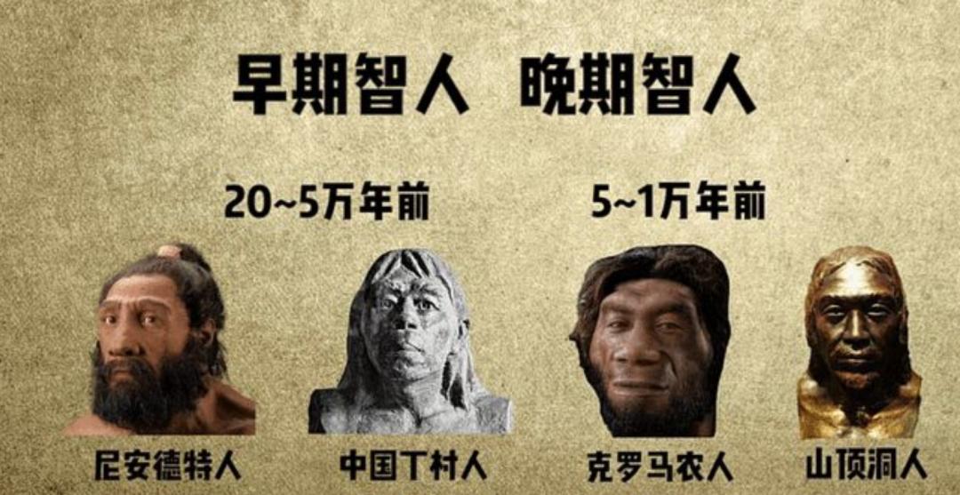 Human beings do not have "Ding Ding bones". Does this show that humans ...