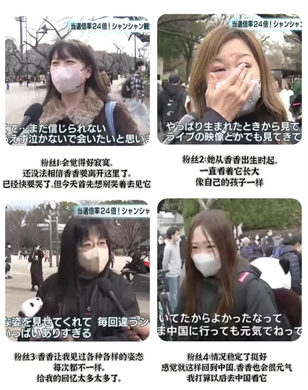 Chinese from Sichuan flew 3,000 kilometers to see Yaya, hoping that ...