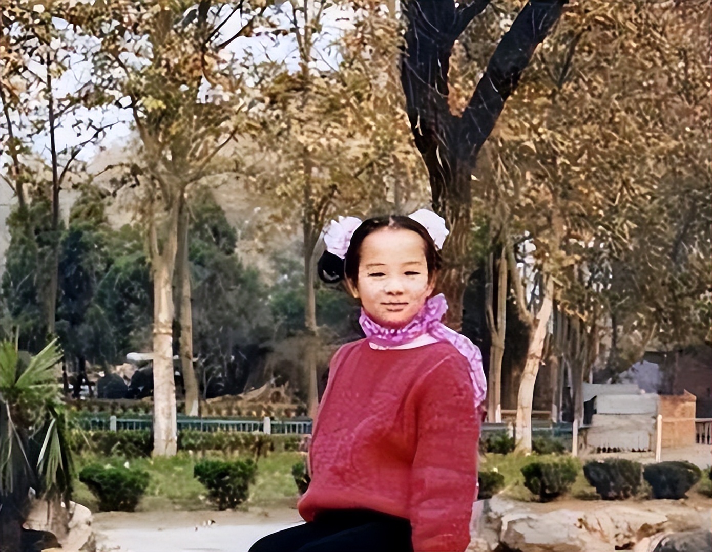 "Blind Singer" Liu Sai: She refused to abandon her rural husband when ...