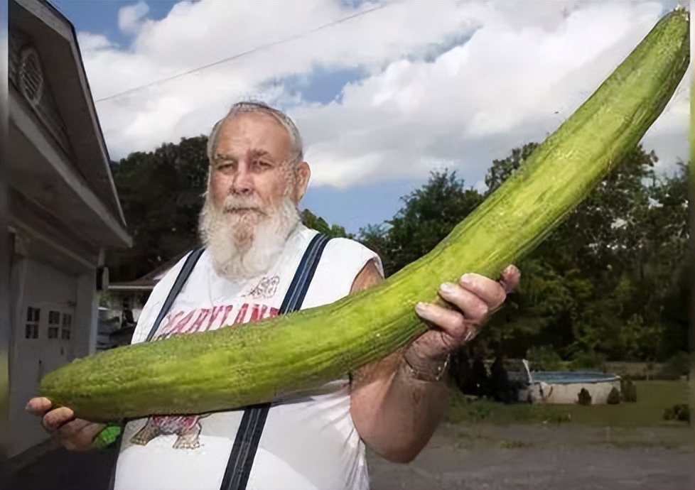 The longest in the world!A giant cucumber in the UK has set a Guinness ...