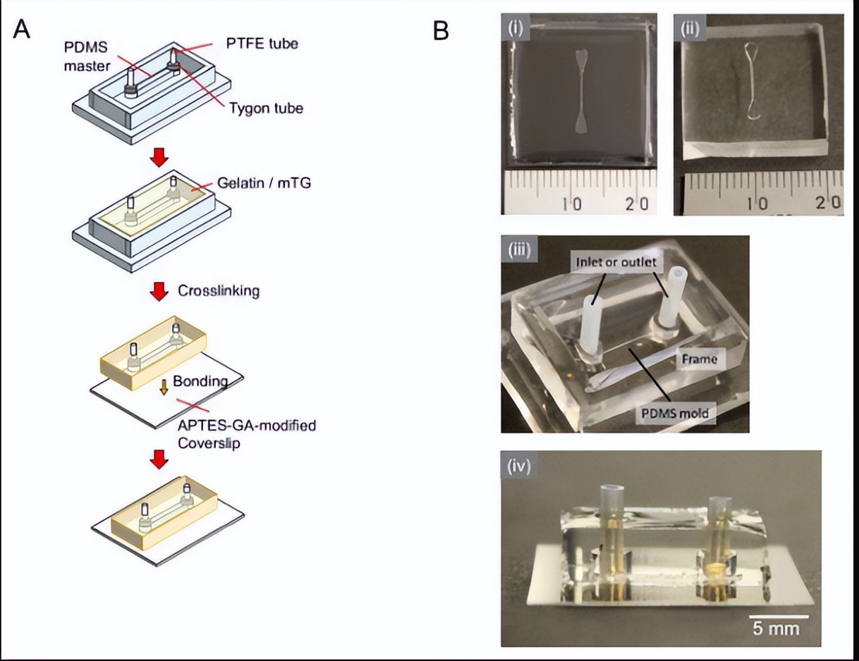 Exploring hydrogel extraction technology for non-invasive detection of ...