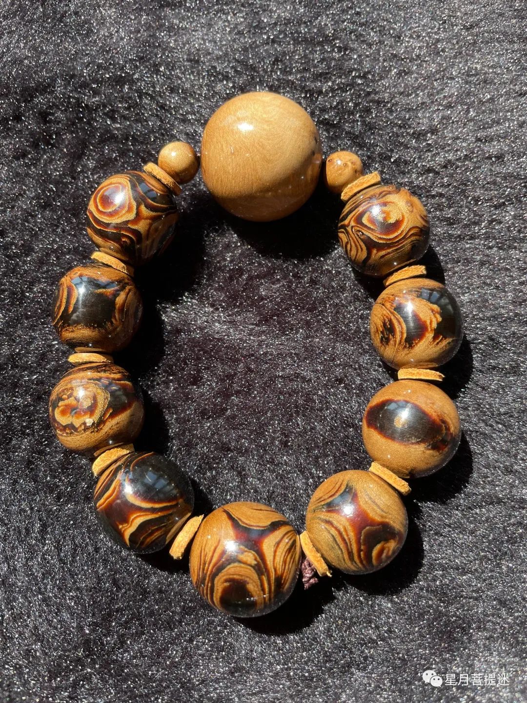 The most precious wood in the sea - sea willow - iNEWS