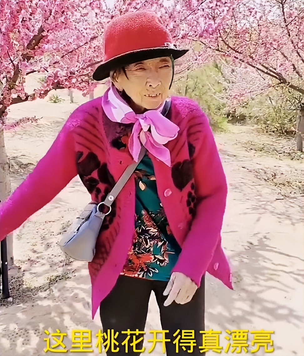 Li Yucheng finally figured it out! Ma Yuqin's face turned green with ...