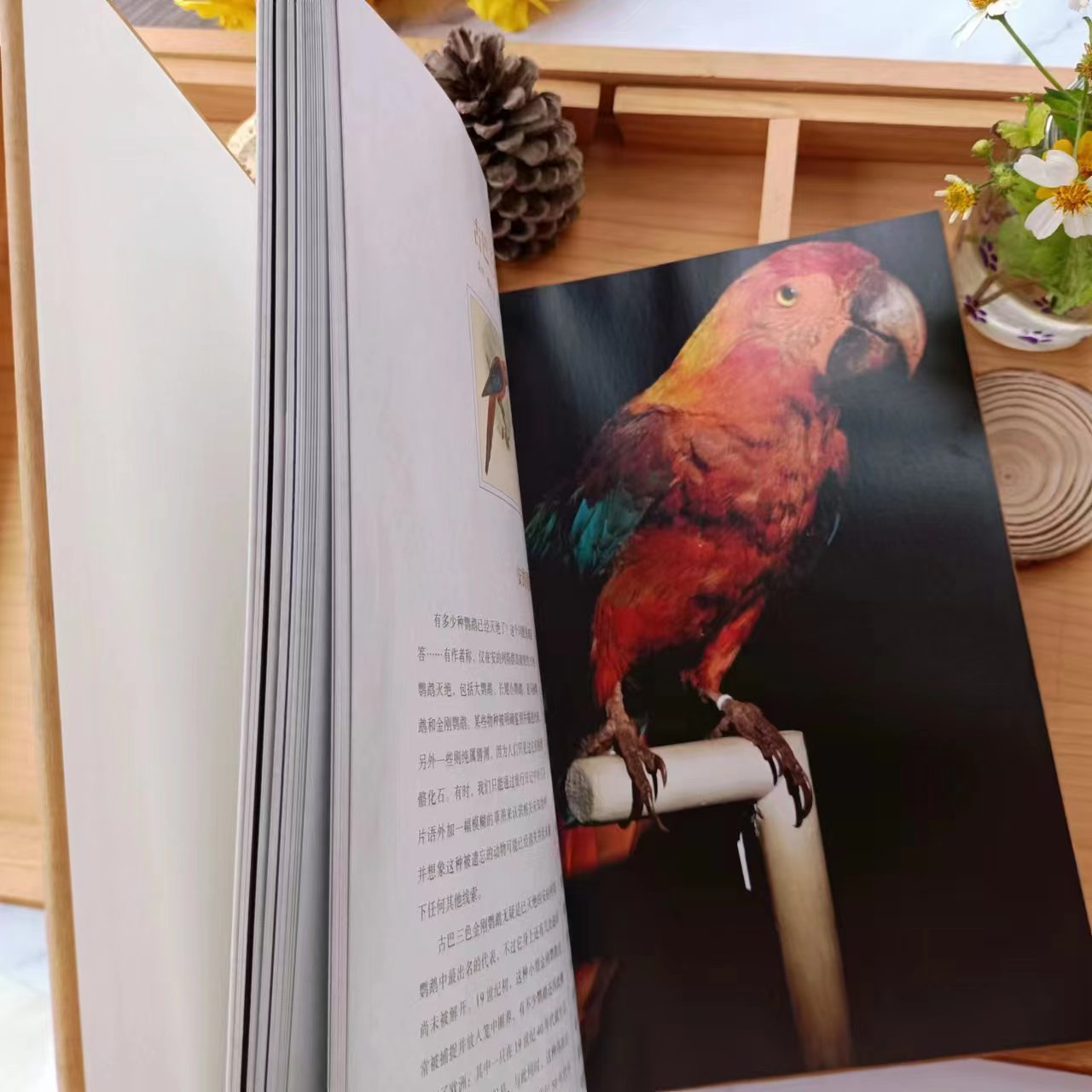 "Illustrated Book of Disappearing Animals" 69 species of extinct ...