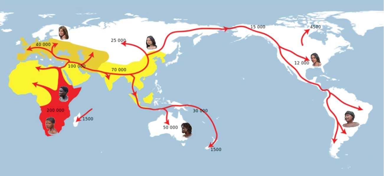 14. How did humans emerge?125 science questions - iNEWS