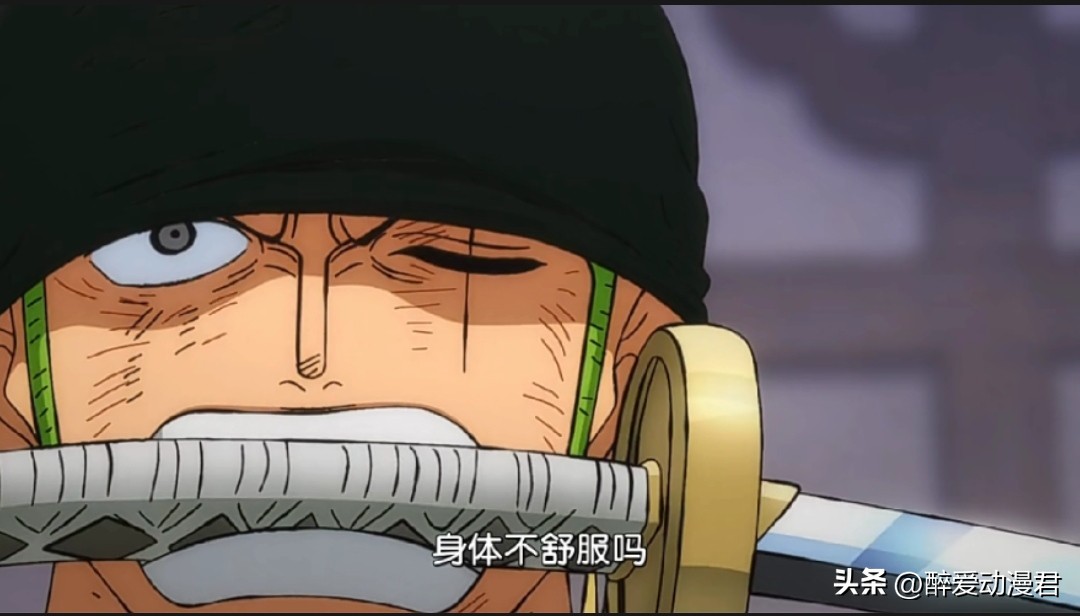 One Piece animation chapter 1046, Sauron's life experience is revealed ...