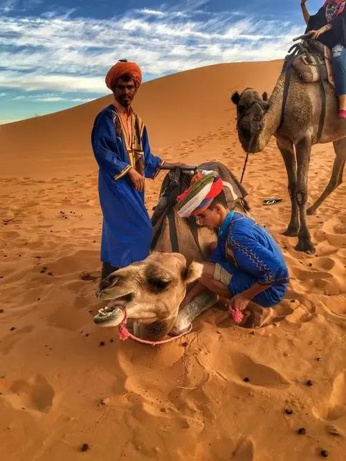 In Sanmao's "Story of the Sahara", the Saharawis got married before the ...