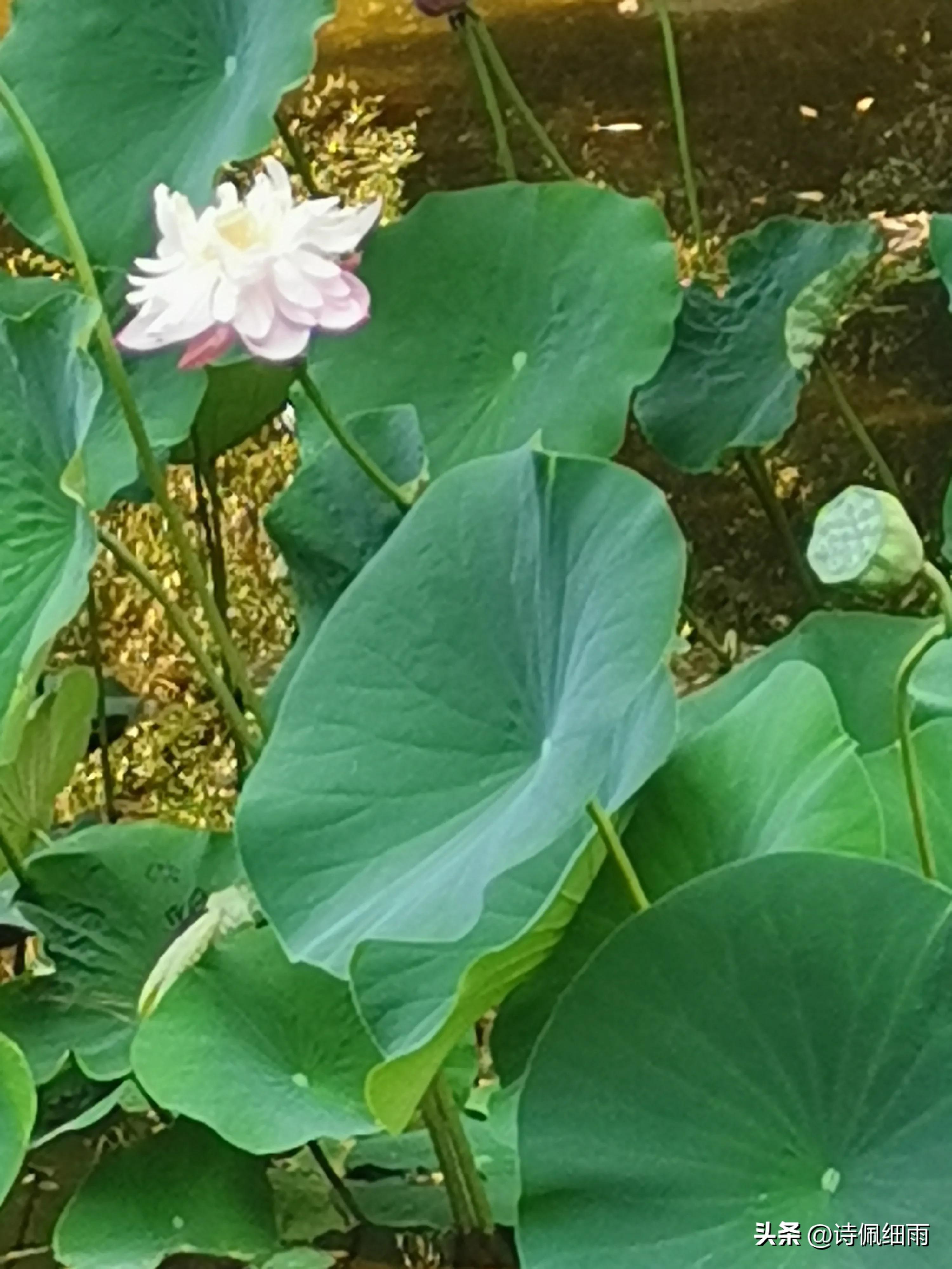 Have you caught up with the most popular buzzwords in recent years ...