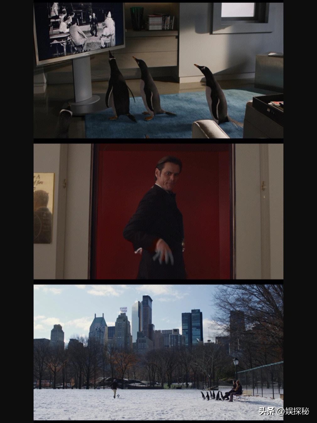 Comedy and Family Relationships: An Analysis of the Movie "Mr. Pope's ...