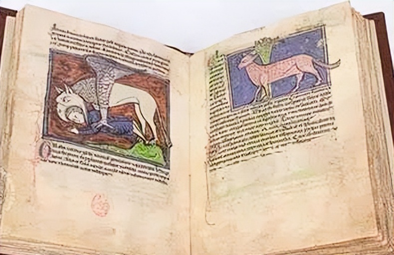 Manuscripts were prevalent in medieval Europe. What are the ...
