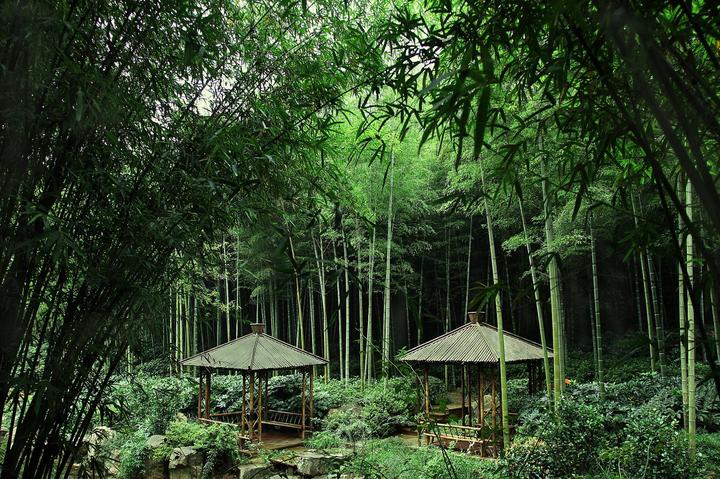 How to plan a self-driving tour of Wulingyuan? - iNEWS