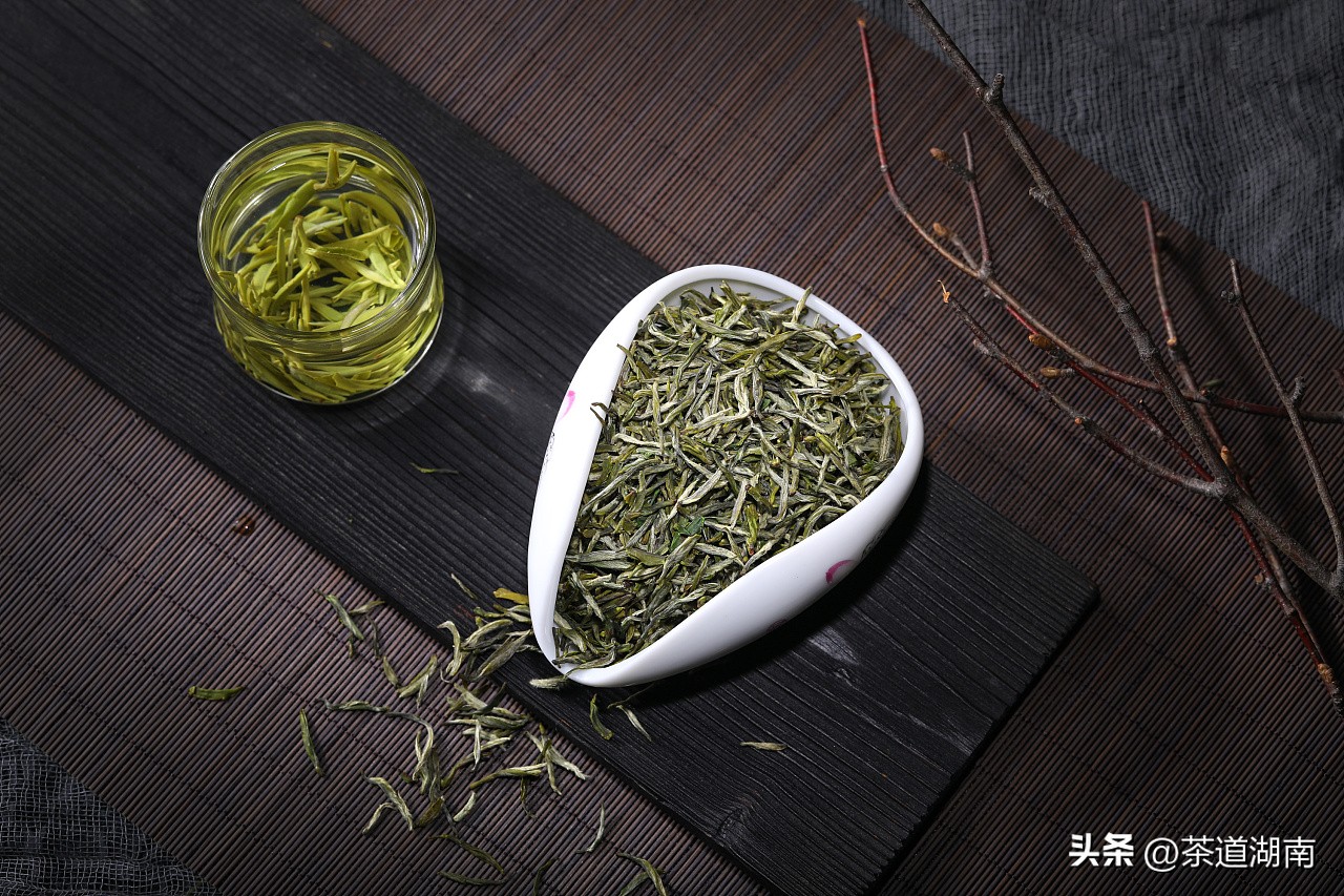 Old tea talk about tea nine: the nature of tea - iNEWS