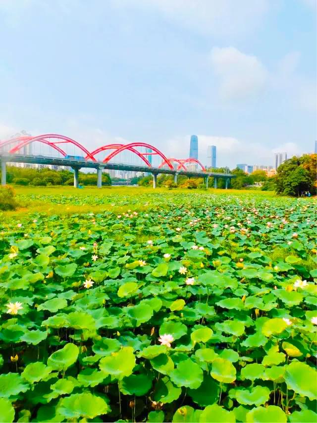 Tang Duoling·Xiao Man Yin Huai (two other poems) - iMedia